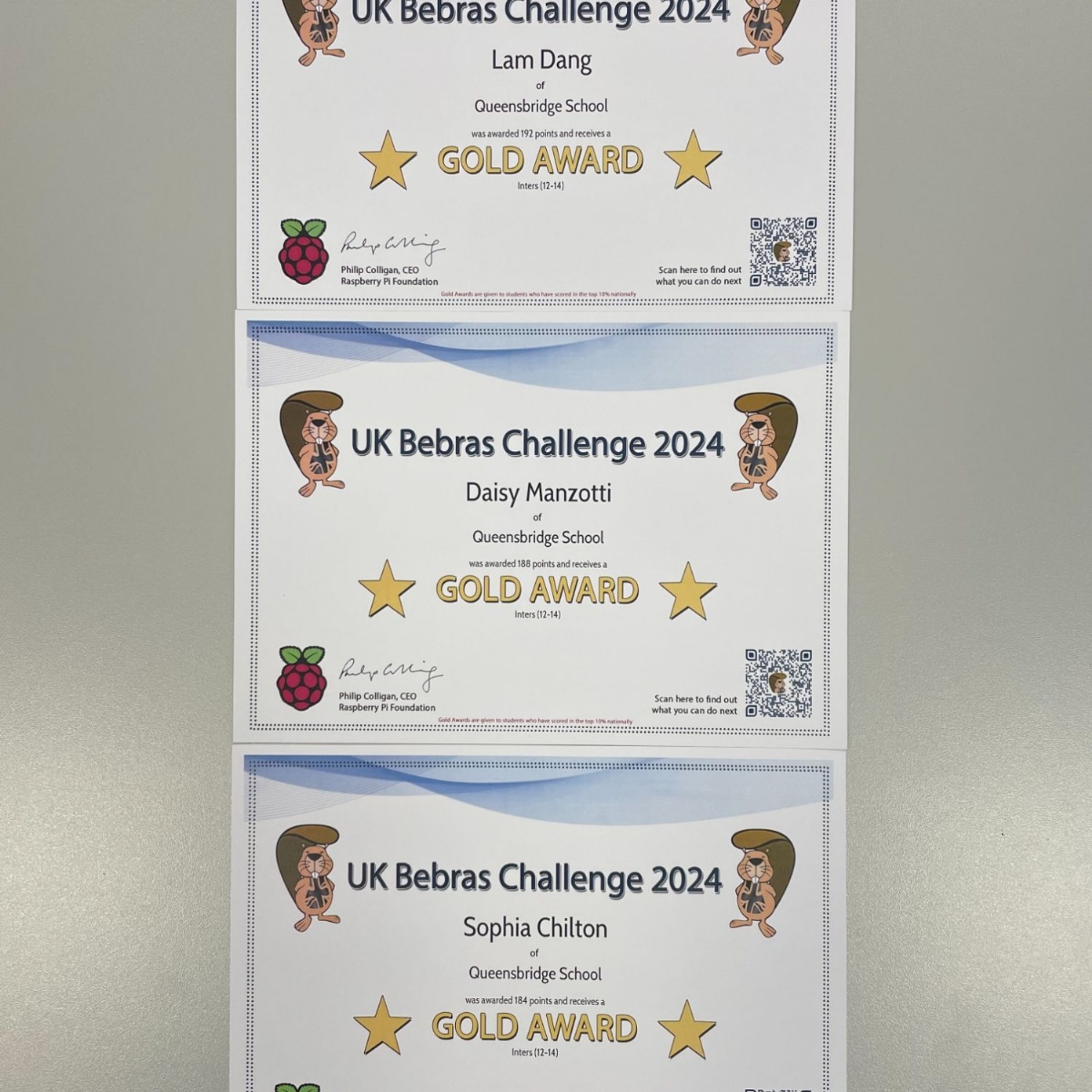 Queensbridge - The UK Bebras Challenge